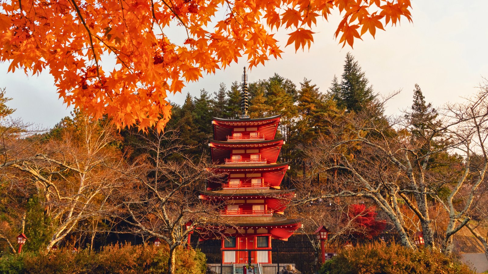 Best Time to Visit Japan: Month-by-Month Travel Guide